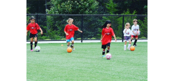 Fair Play Soccer > Home